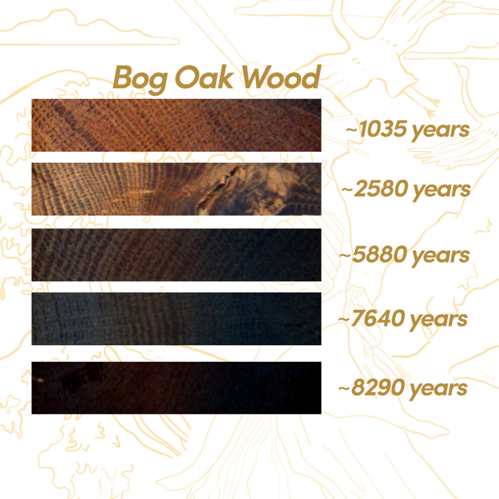 What Is Oak Bog Wood? - Oishya